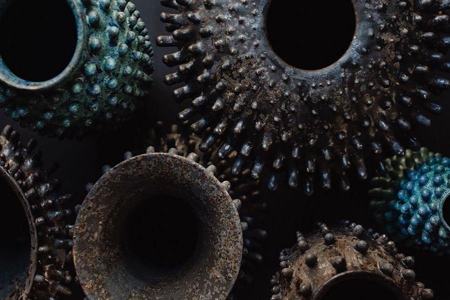 Insight | BLUME with Nicolette Johnson – FALLOW